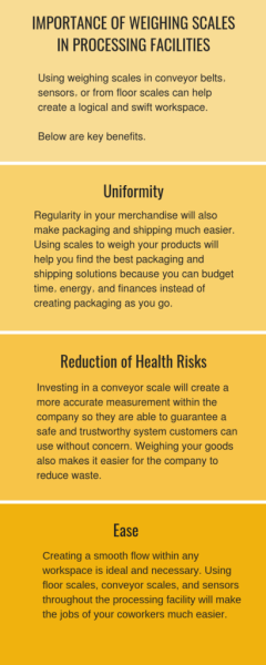 Weighing Scales in Processing Facilities | Garber Metrology